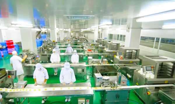 How to Properly Use Disinfectants in Food Factories – Mikan-From A to Z ...